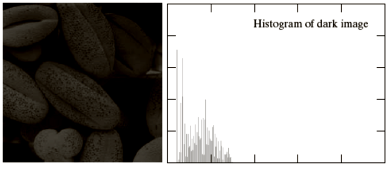 Basic Relationships Between Pixels | Digital Image Processing | cuitutorial