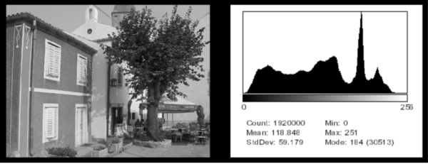Basic Relationships Between Pixels | Digital Image Processing | cuitutorial
