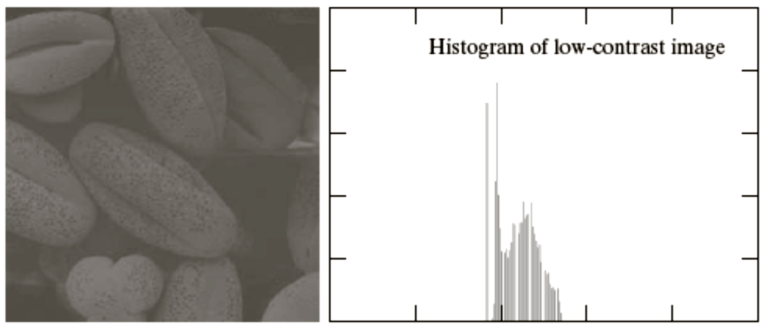 Basic Relationships Between Pixels | Digital Image Processing | cuitutorial