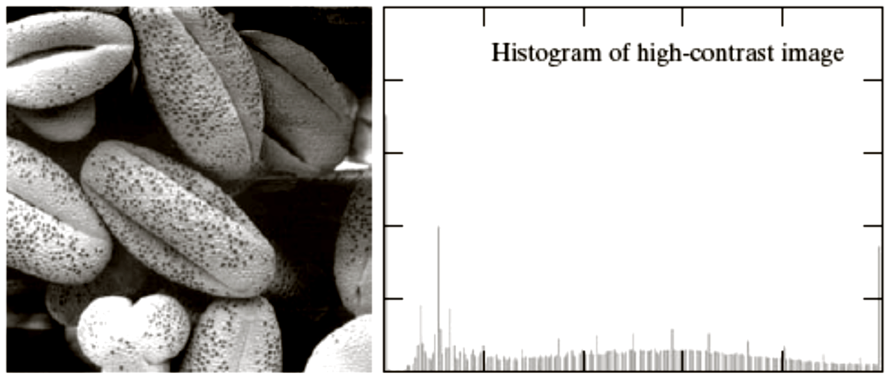Basic Relationships Between Pixels | Digital Image Processing | cuitutorial