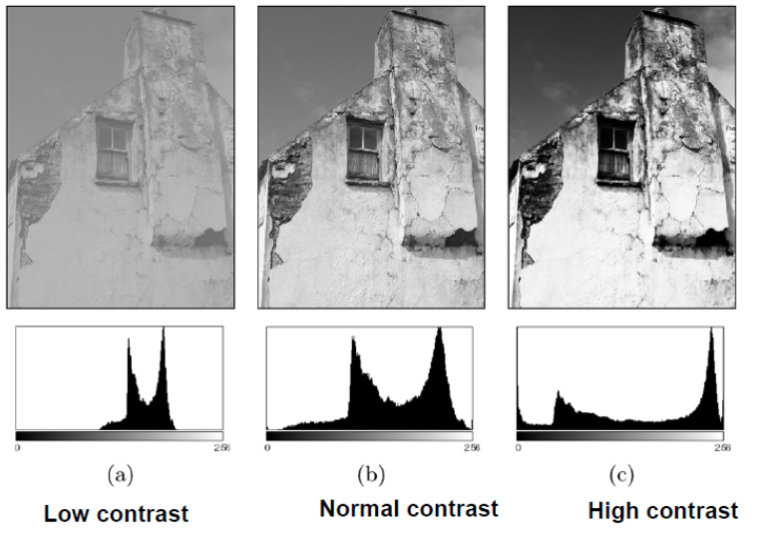Basic Relationships Between Pixels | Digital Image Processing | cuitutorial